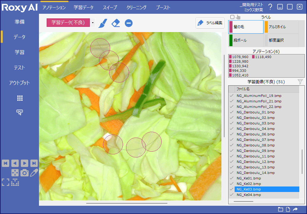 Roxy AI | Industrial Robots by Kawasaki Robotics